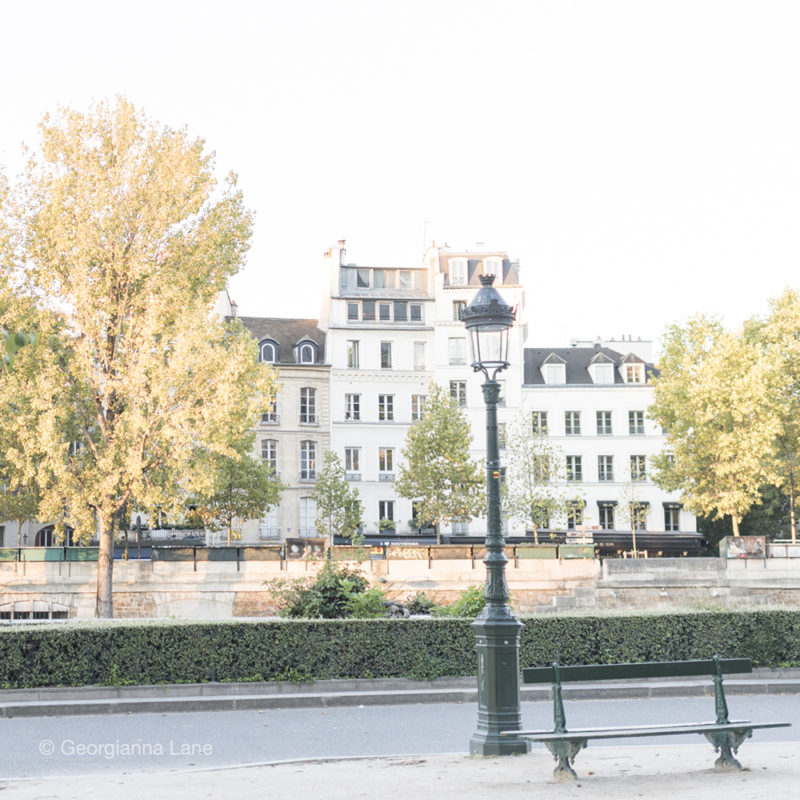 Rose Gold Autumn in Paris